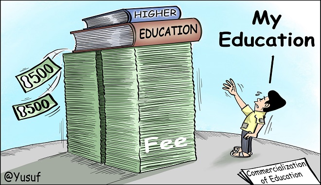 Higher Education - Cartoon Mirror